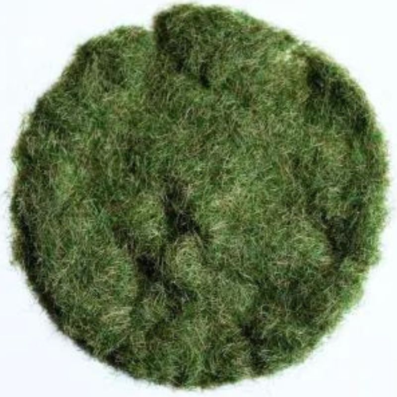Model Scene Grass Flock 2 mm - Early Summer 50g - Dream Steam