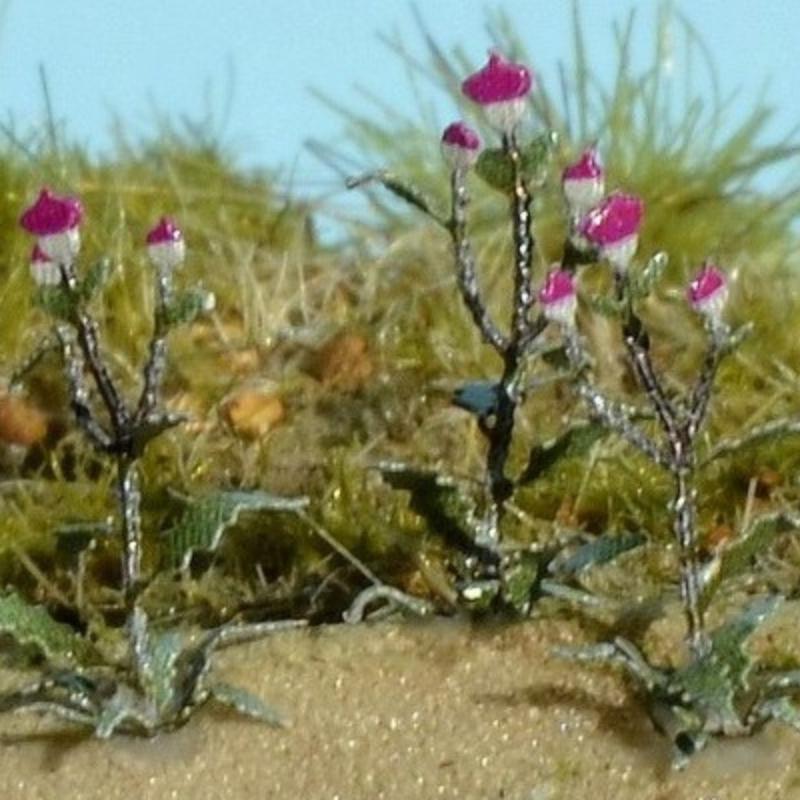 Model Scene Thistle 1:45 / 1:56 O Scale - Dream Steam