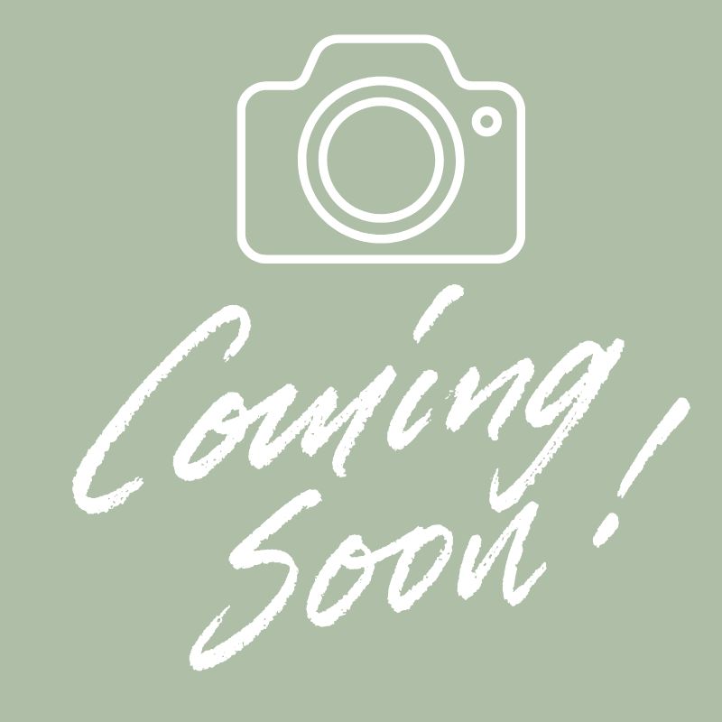 Hornby R7229 Analogue Train and Accessory Controller - Dream Steam